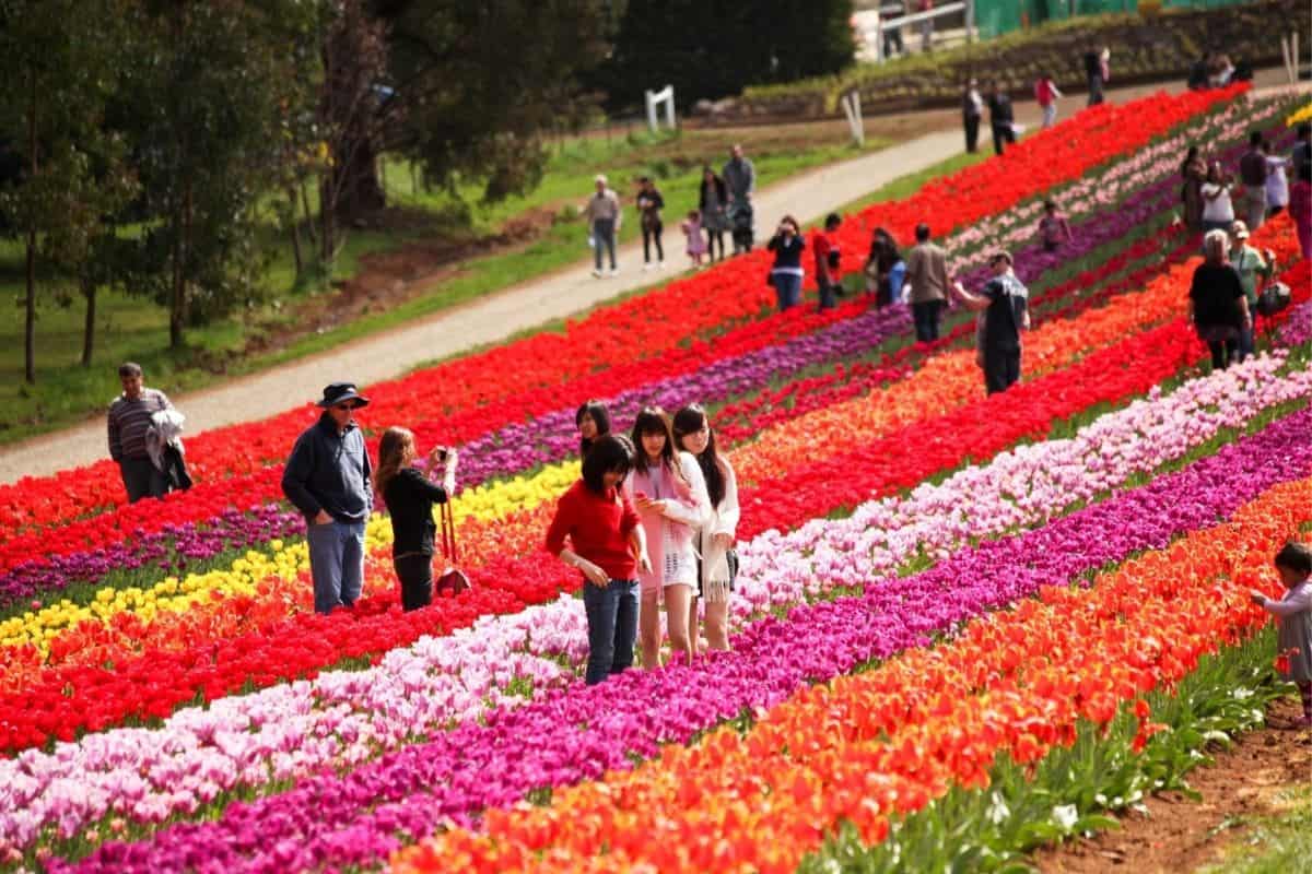 15 Indian Festivals In April You Should Be A Part Of In 2024
